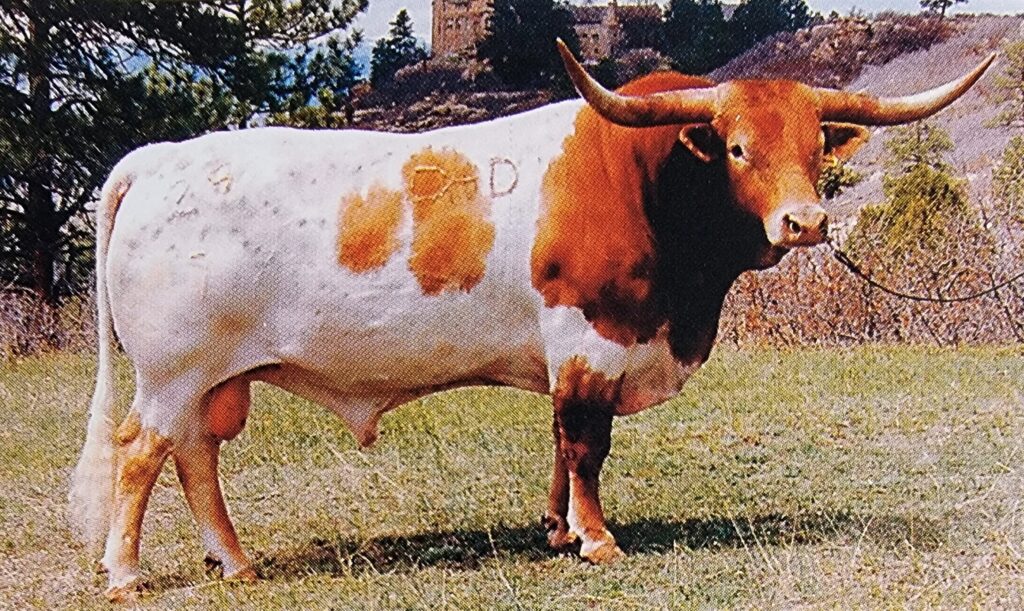 ITLA History – ITLA