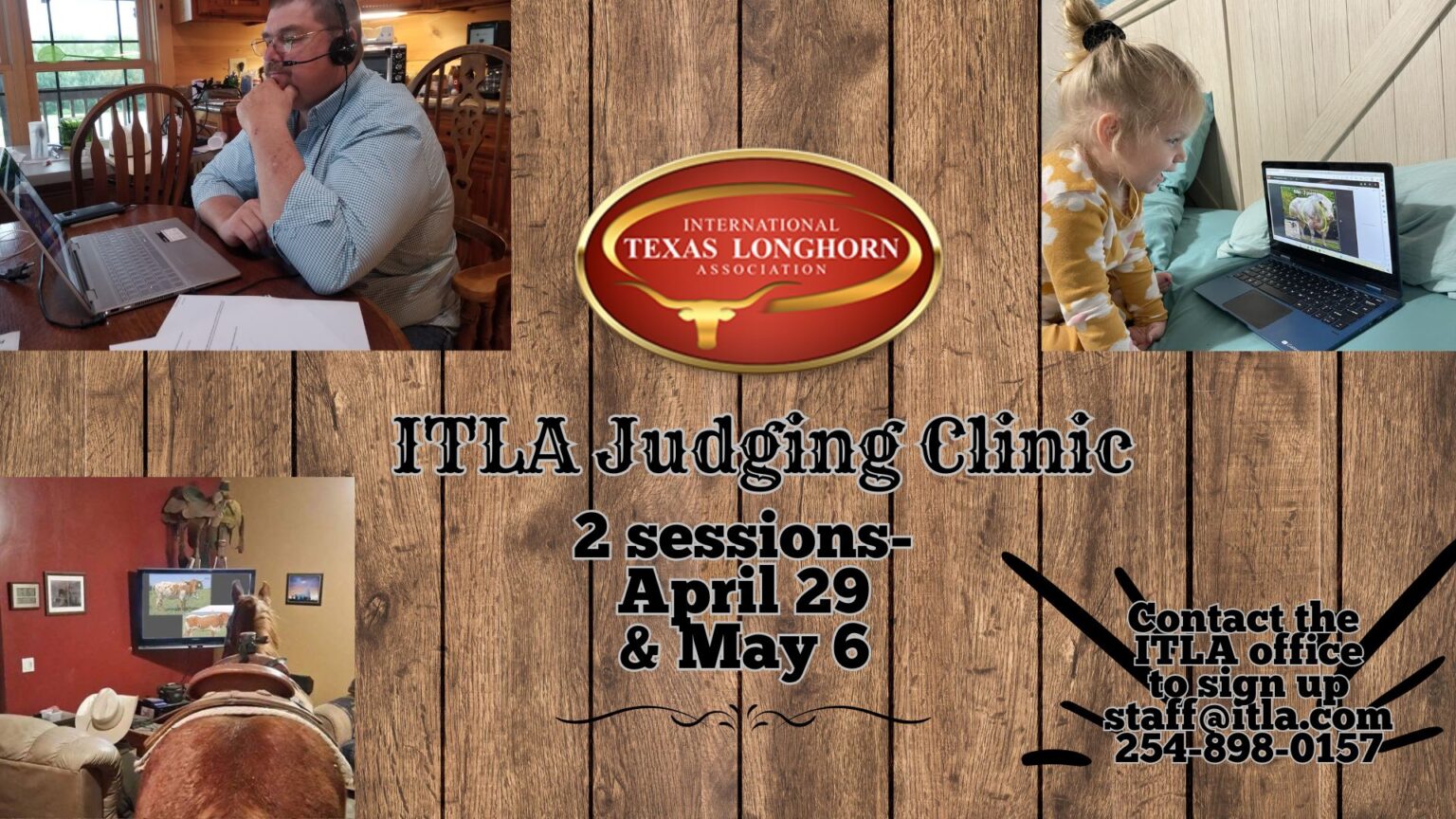 ITLA – International Texas Longhorn Association